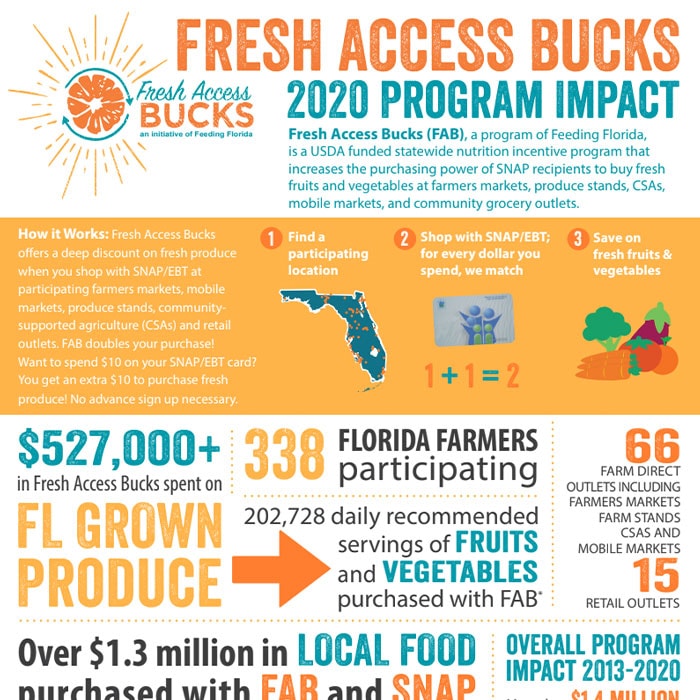 2020 FAB Impact Report - Fresh Access Bucks