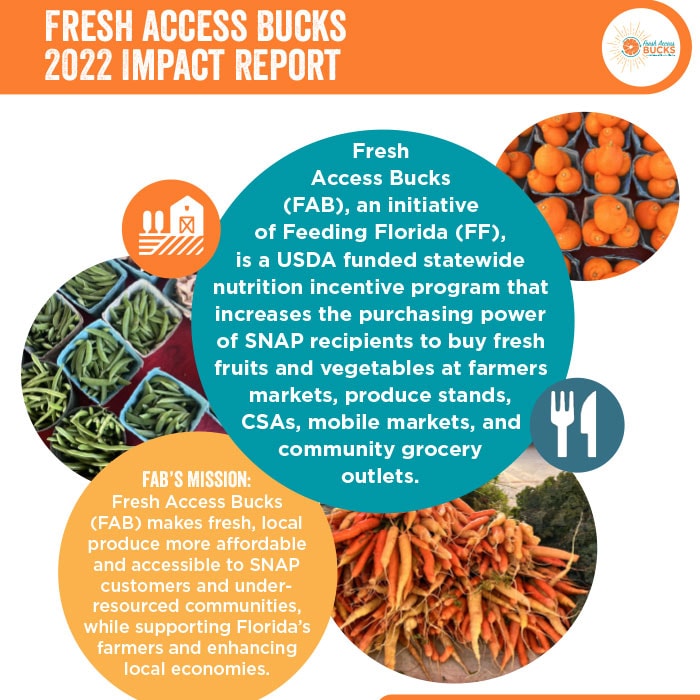 2022 FAB Impact Report - Fresh Access Bucks